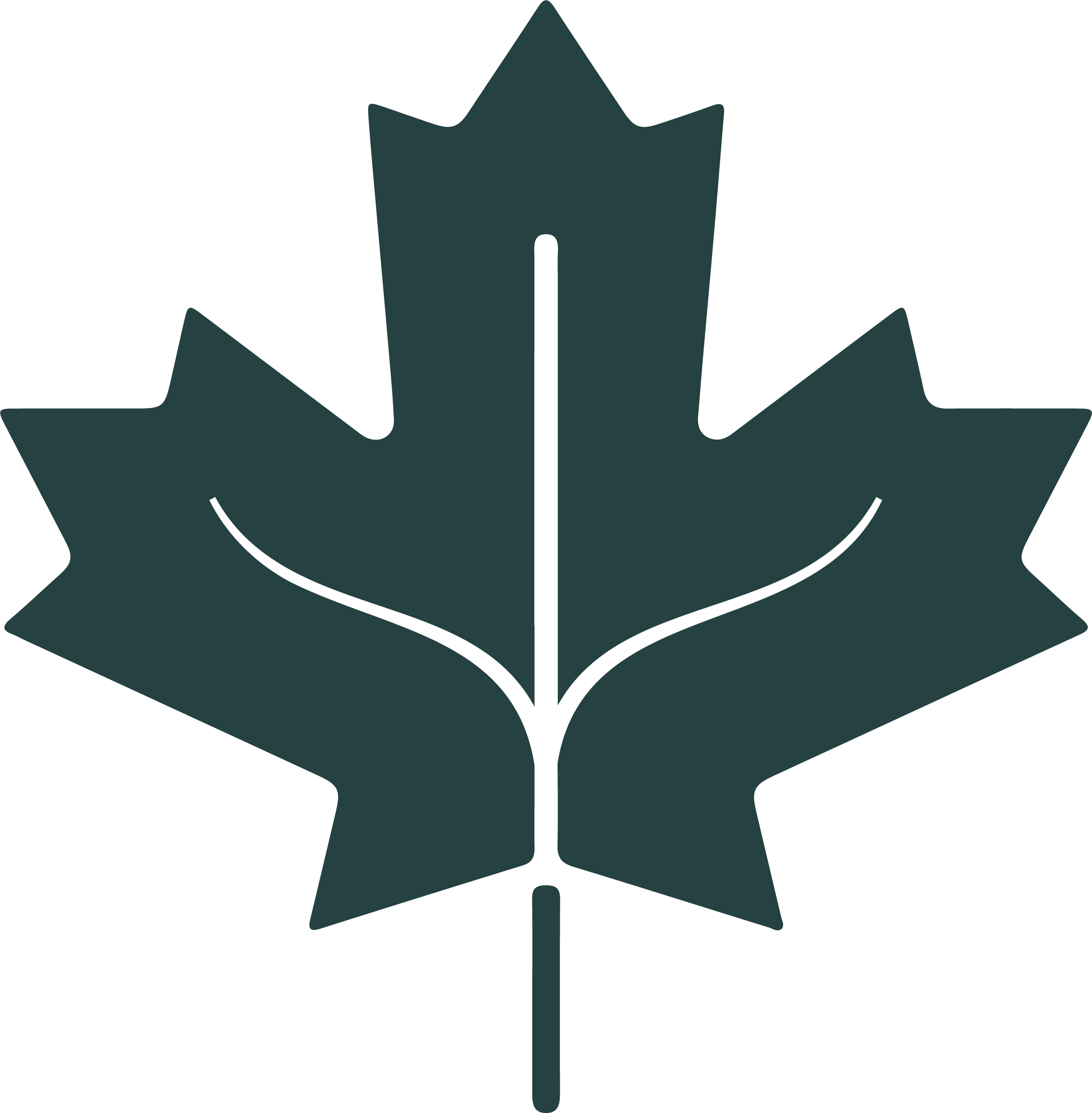 Ember - Winter Body Oil infused with Cinnamon, Clove + Orange Peel ...