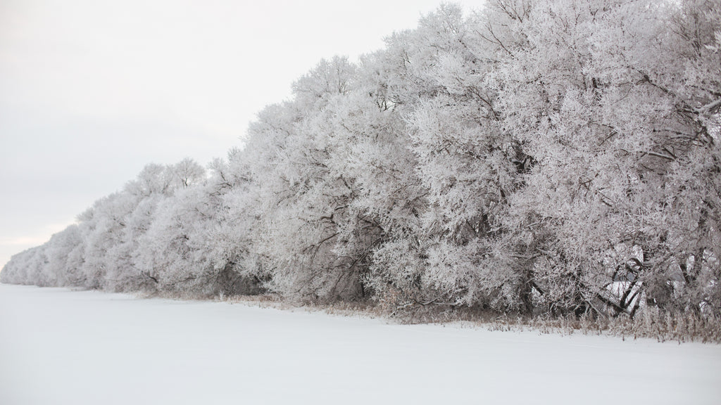 Climate-focused Skincare from Canada | Atmosphera Beauty